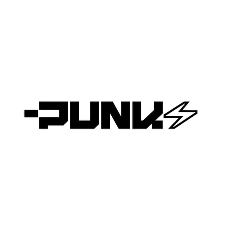 Punk Electric Scooters, Punk Rider